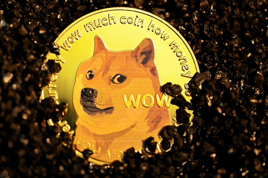 The Crypto Canine Craze Of DogeMiyagi, Shiba Inu and Dogecoin