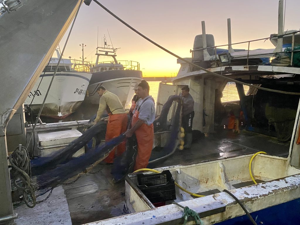 Nordic nautical fun in Motril « Euro Weekly News