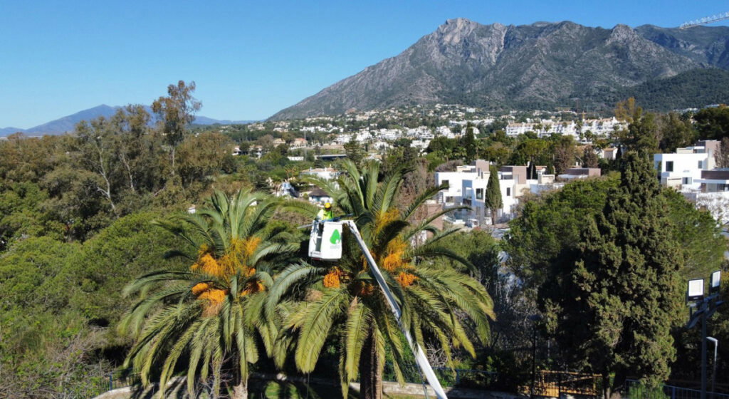 Caring for Marbella’s environment « Euro Weekly News