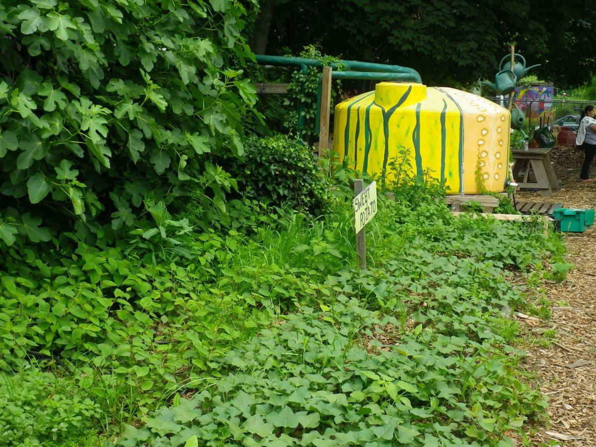 Germans are collecting rainwater for reuse « Euro Weekly News