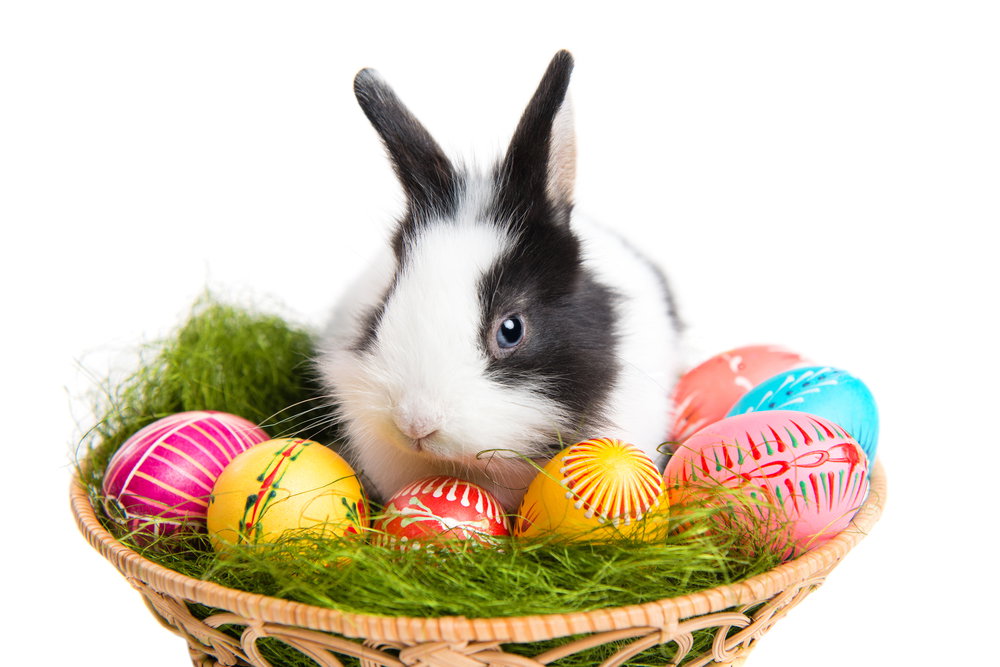 Unveiling Easter’s pagan roots « Euro Weekly News
