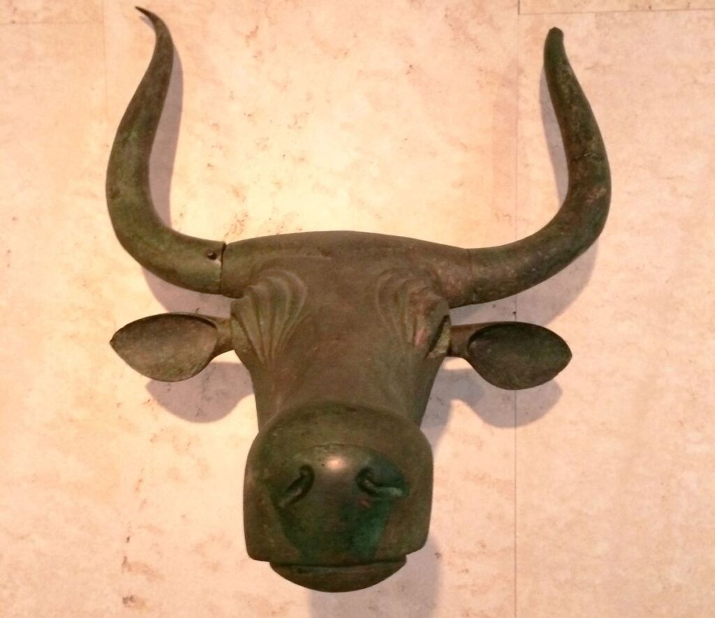 Bulls’ heads returning to Mallorca « Euro Weekly News