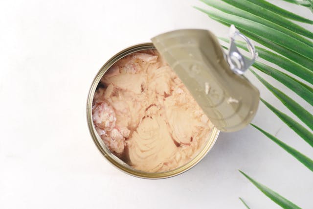Canned tuna: mercury levels over the limit « Euro Weekly News