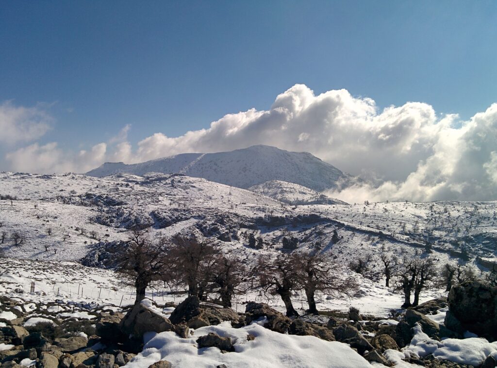 Intense cold to bring snow to Malaga province « Euro Weekly News