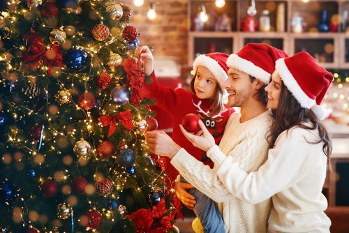 The surprising root of Christmas trees « Euro Weekly News