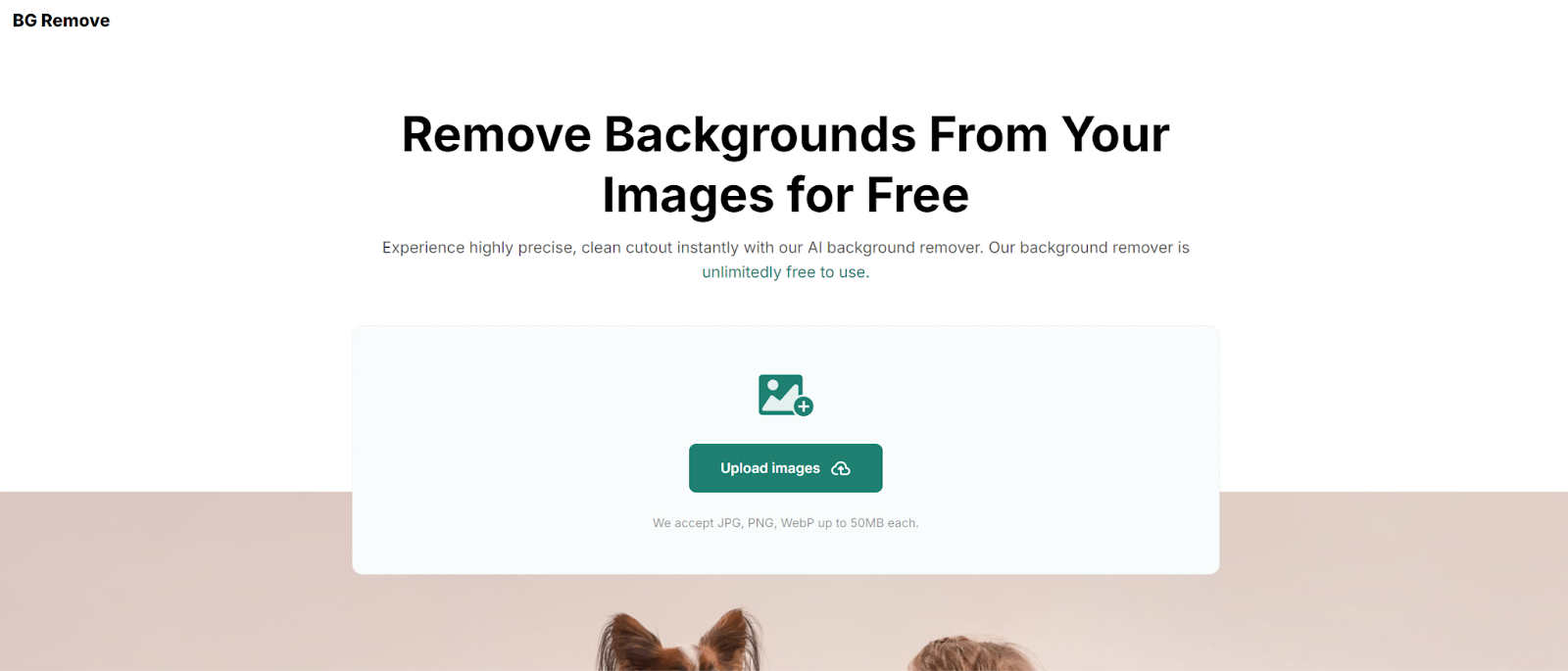 How to create a professional headshot: BG Remove « Euro Weekly News
