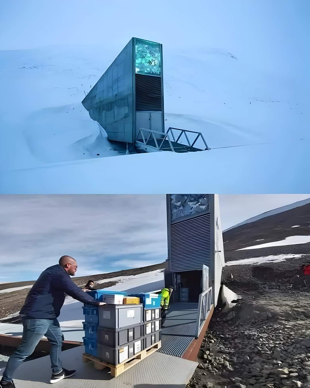 Svalbard seed bank to preserve world food « Euro Weekly News
