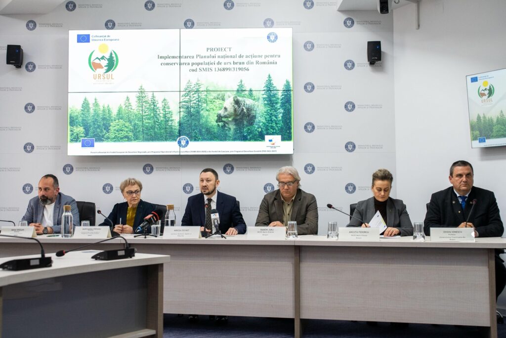 Census reveals bear boom in Romania « Euro Weekly News