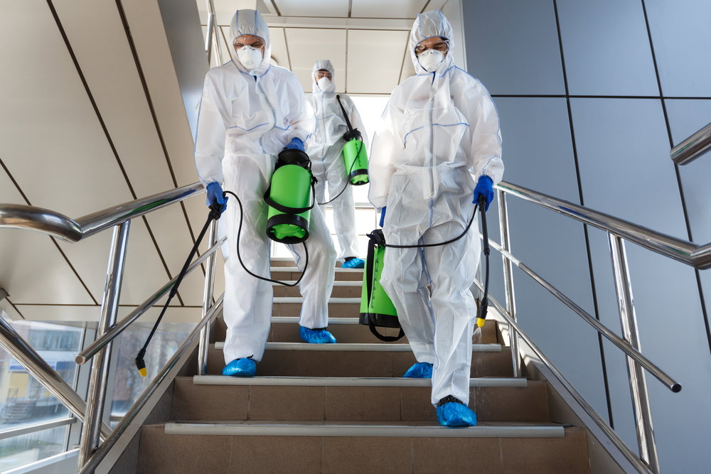 Spain’s mosquito West Nile virus battle begins « Euro Weekly News