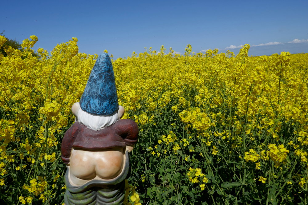 The return of garden gnomes « Euro Weekly News