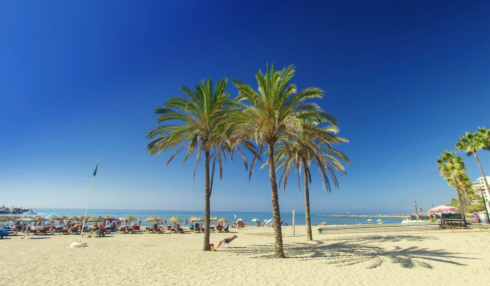 Marbella becomes global tech hub « Euro Weekly News