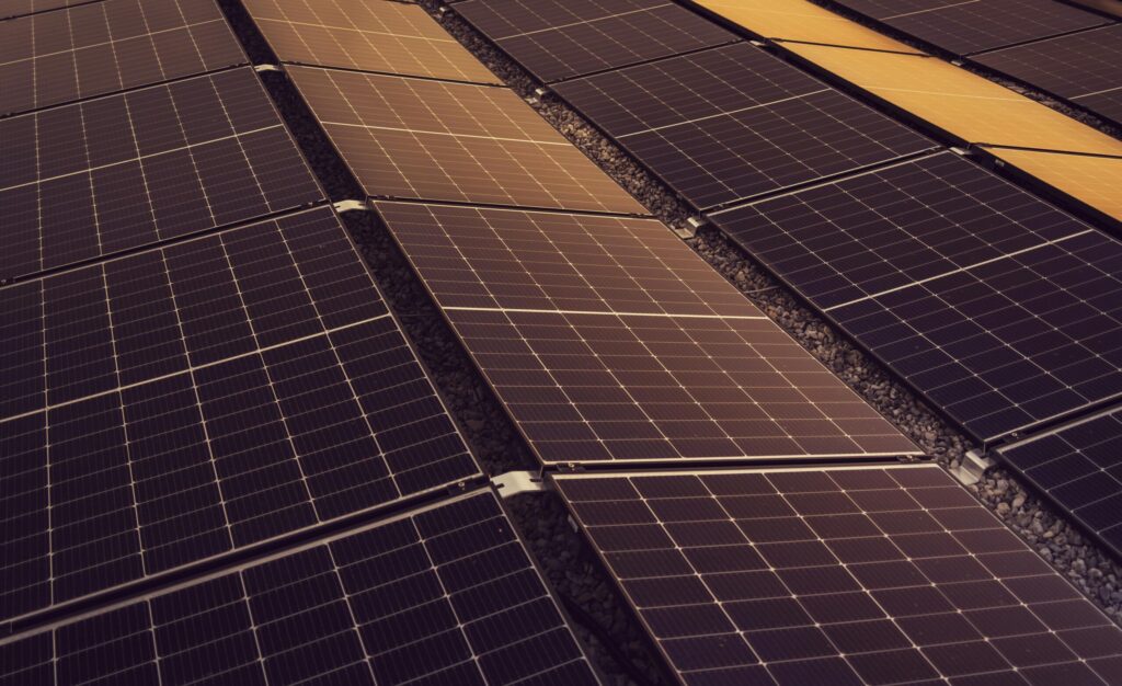 Norwegian farmers want solar but need support « Euro Weekly News