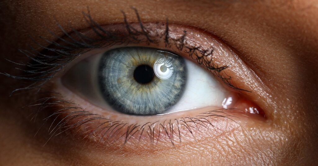 Scientists claim to discover new colour ‘Olo’ « Euro Weekly News
