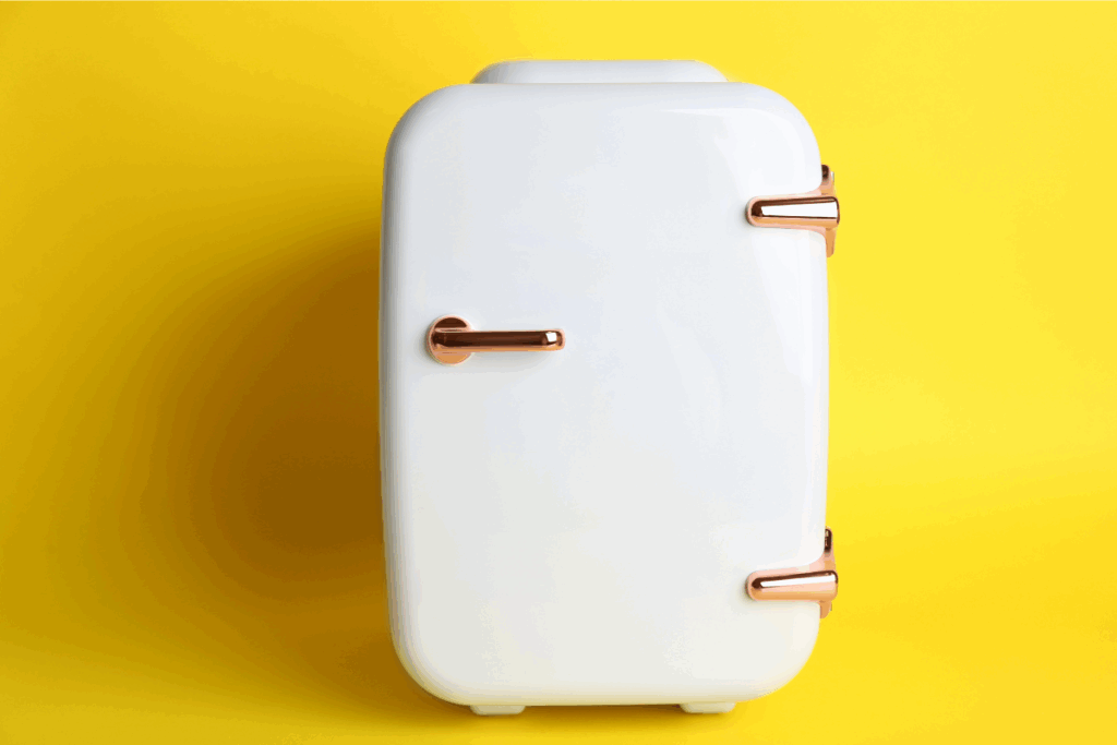 This Lidl fridge is made for summer days « Euro Weekly News
