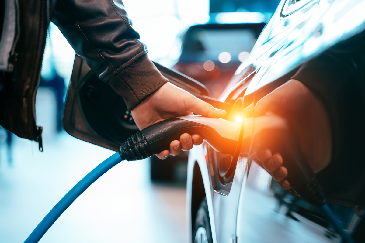 BYD cuts EV prices amid market warning « Euro Weekly News