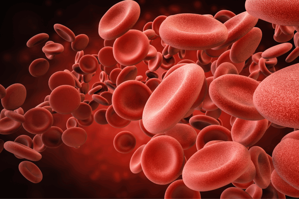 The third state of life: Cells after death « Euro Weekly News