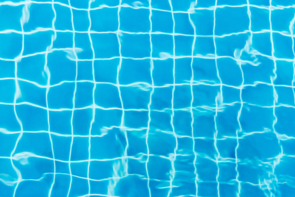 Spiders appearing in your pool? Here’s why. « Euro Weekly News