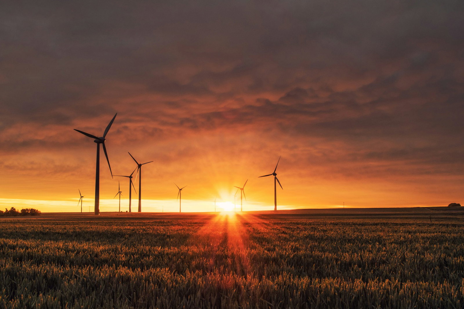 Fortum acquires portfolio of renewable energy projects « Euro Weekly News
