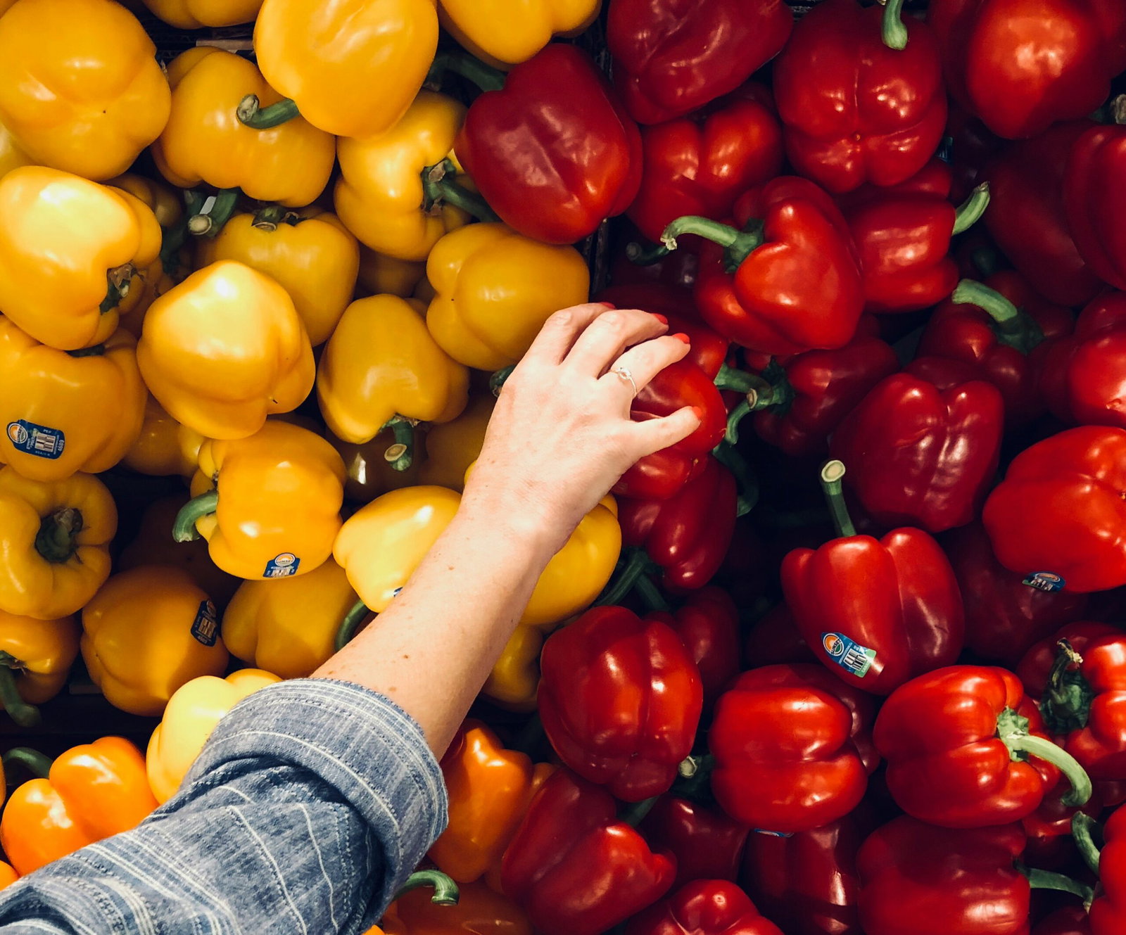 Study reveals cheapest & most expensive groceries in EU « Euro Weekly News
