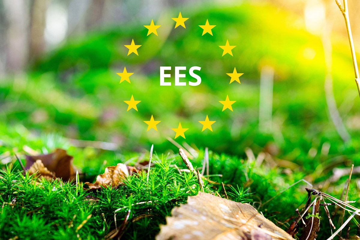 EES 2025: who is exempt from EU border checks « Euro Weekly News