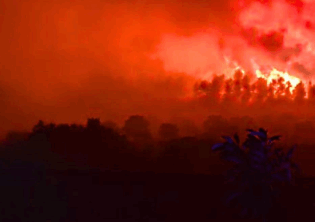 Portugal wildfires update « Euro Weekly News