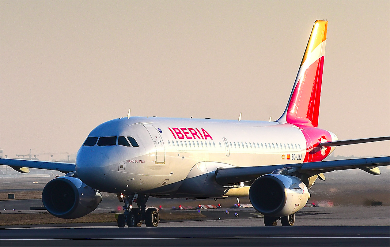 Bird Strike tears nose off Iberia plane « Euro Weekly News