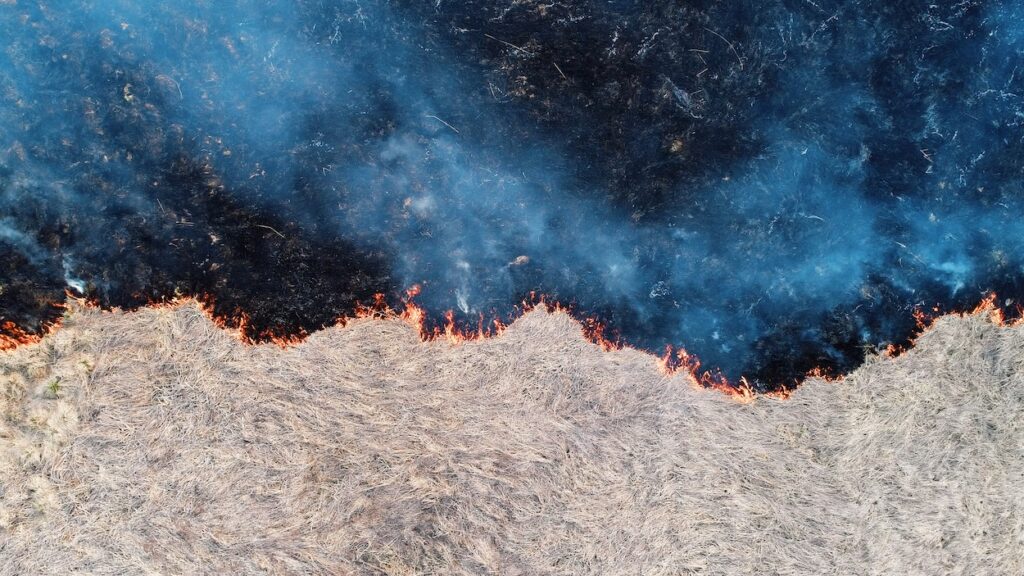 1,149 People Dead: Spain’s deadliest heatwave « Euro Weekly News