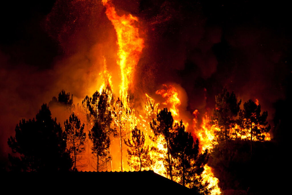 Portugal wildfires burn 54,500 hectares in a week « Euro Weekly News