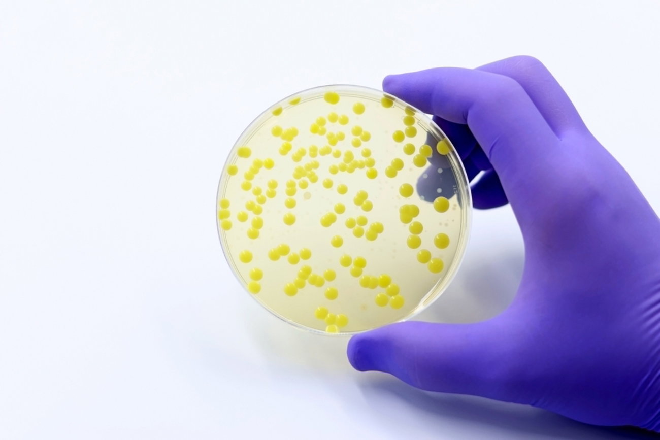 AI creates new antibiotics « Euro Weekly News