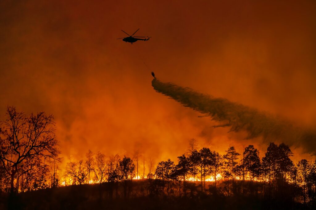 2025 on track to be worst year in the UK for wildfires « Euro Weekly News