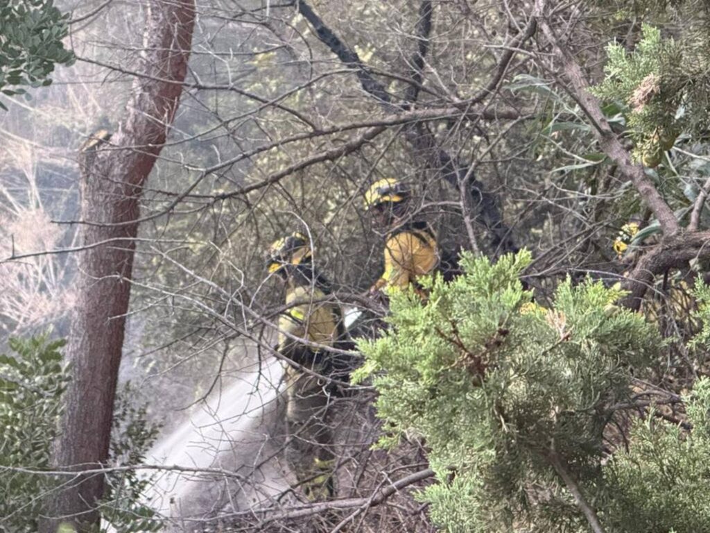 Benalmadena fire forces evacuation « Euro Weekly News