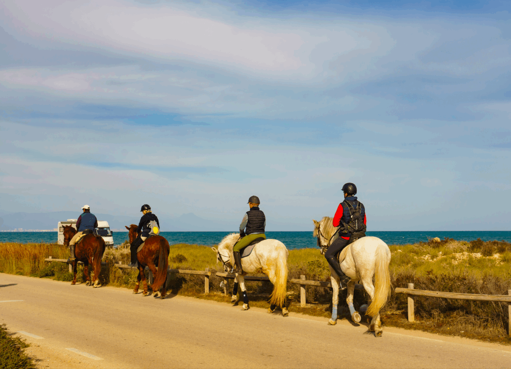 What do do in Santa Pola « Euro Weekly News