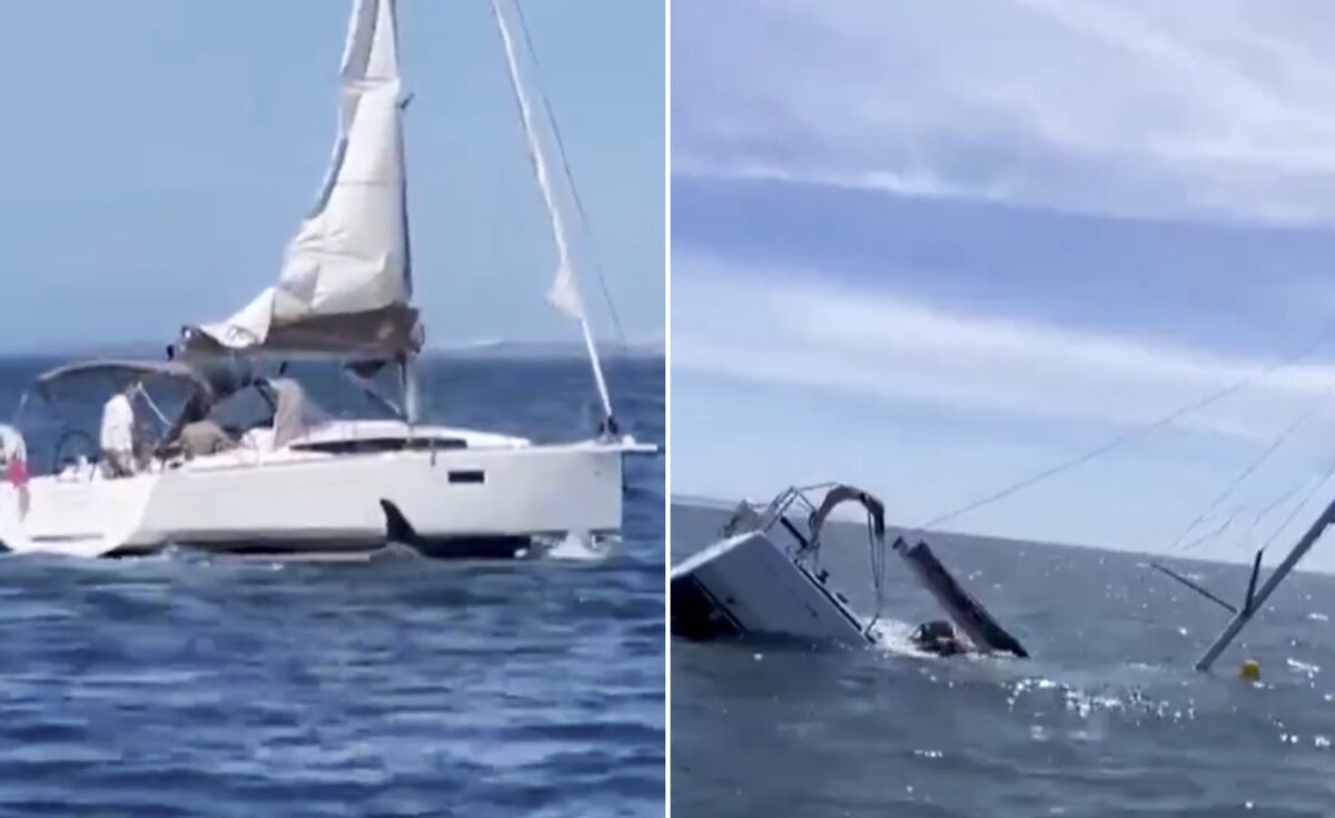 Killer whales sink yacht off coast of Lisbon « Euro Weekly News