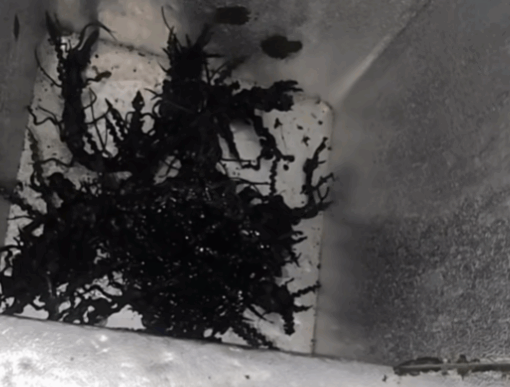 Panama’s ‘Venom alien’ meteorite « Euro Weekly News