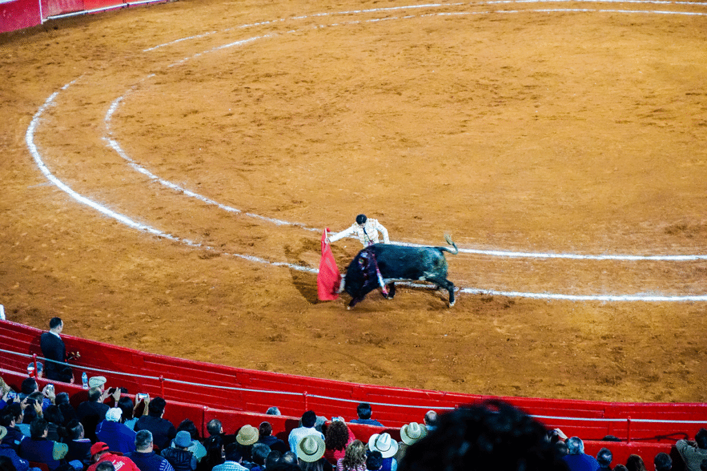 Spain vs Columbia: bullfighting debate « Euro Weekly News
