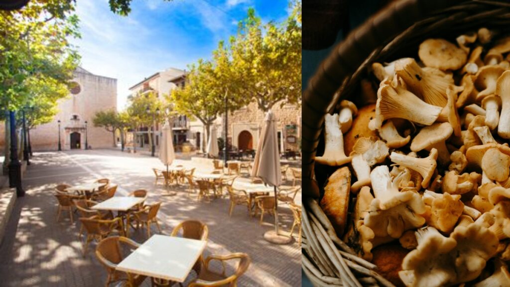 Alaró embraces Autumn flavours with popular mushroom festival « Euro ...