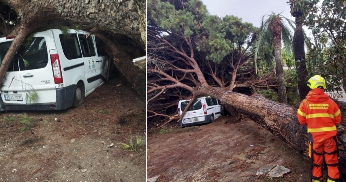 Battered and bruised in after Storm Claudia « Euro Weekly News