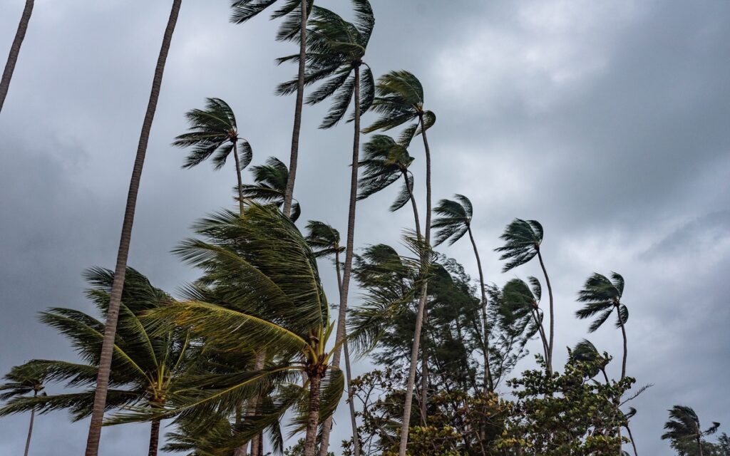 Storm Bram: Yellow alert and DANA rainstorm « Euro Weekly News