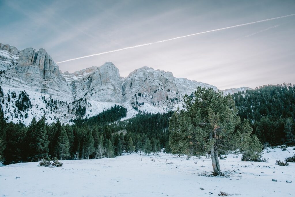 Winter in Spain: what expats really experience « Euro Weekly News