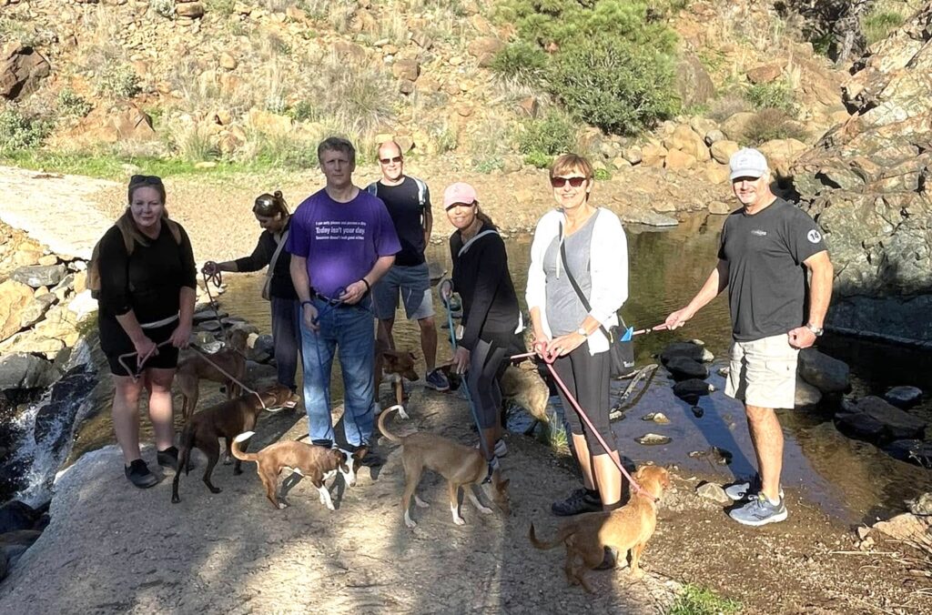 Join the ADANA Valentine’s Day Dog Walk « Euro Weekly News