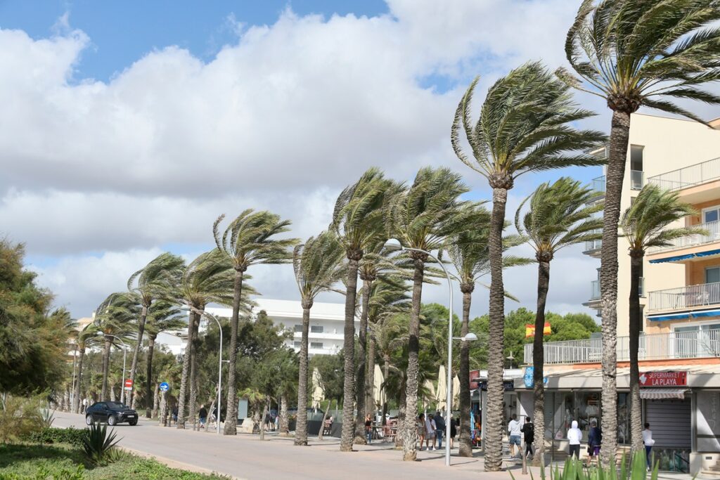 Castellón Winds Reach 172 km/h « Euro Weekly News