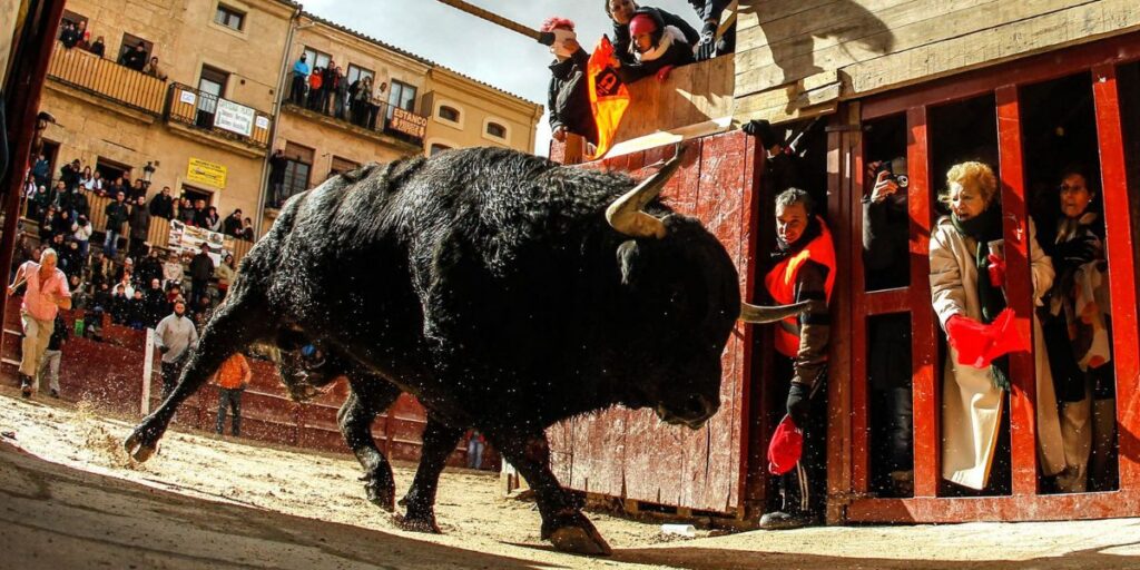 Bullfighting festival in Spain turns deadly « Euro Weekly News