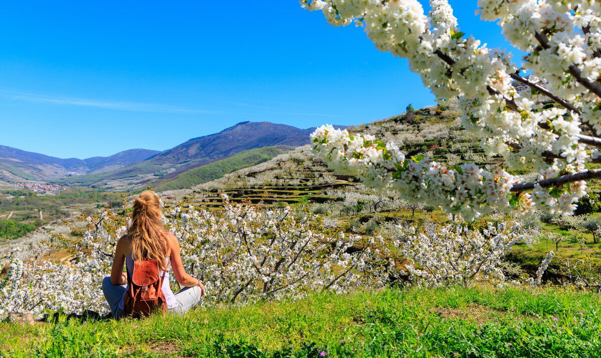 The most beautiful places to see spring blossom in Spain right now ...