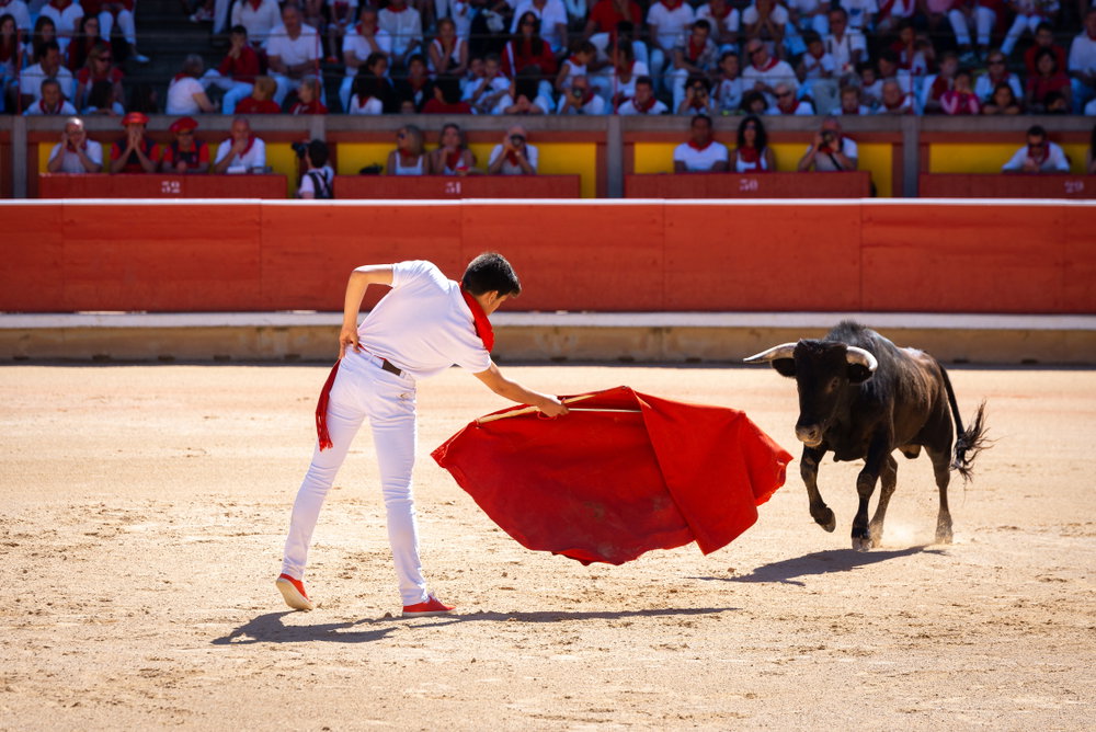 Vera’s first bullfighting workshop « Euro Weekly News