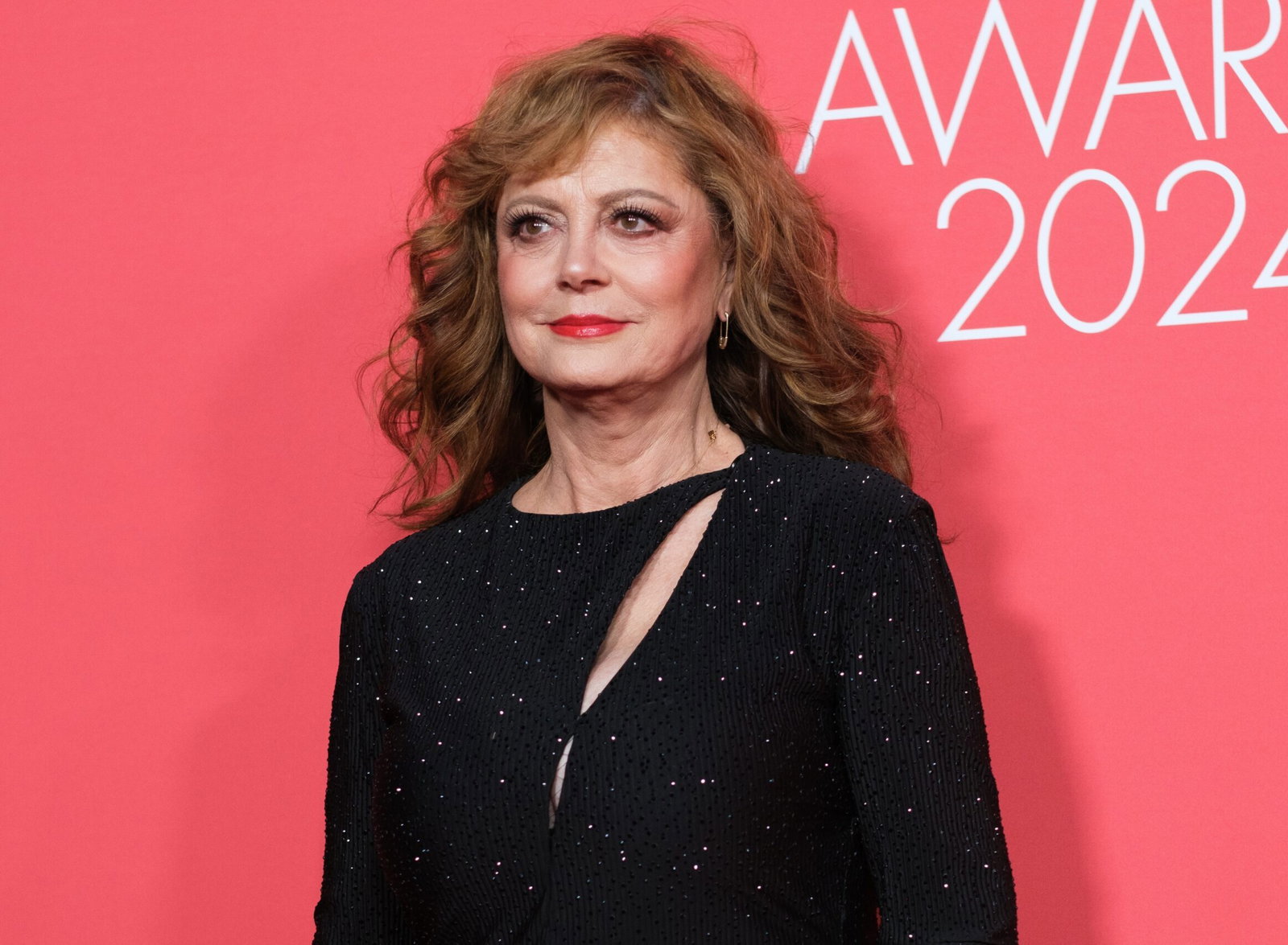 Susan Sarandon to receive International Goya Award « Euro Weekly News