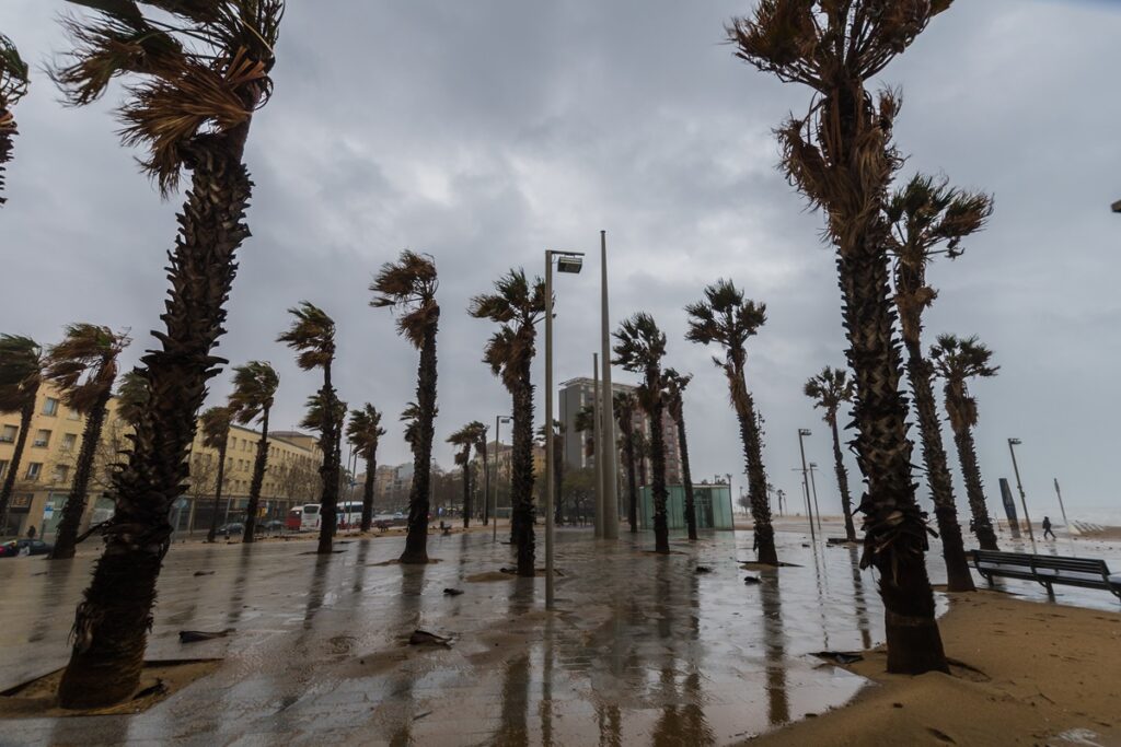 Snow and Polar Cold Set to Hit Spain « Euro Weekly News