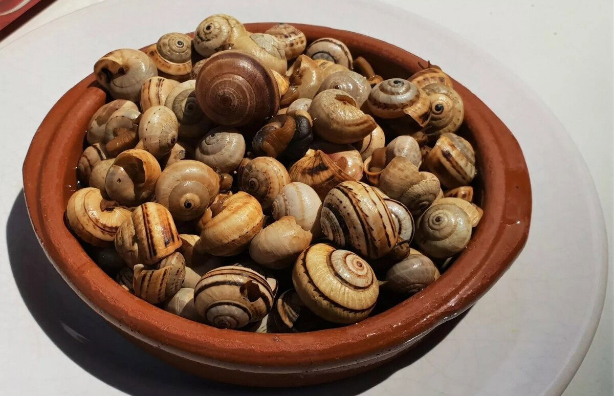 Snail celebrations return to Riogordo « Euro Weekly News