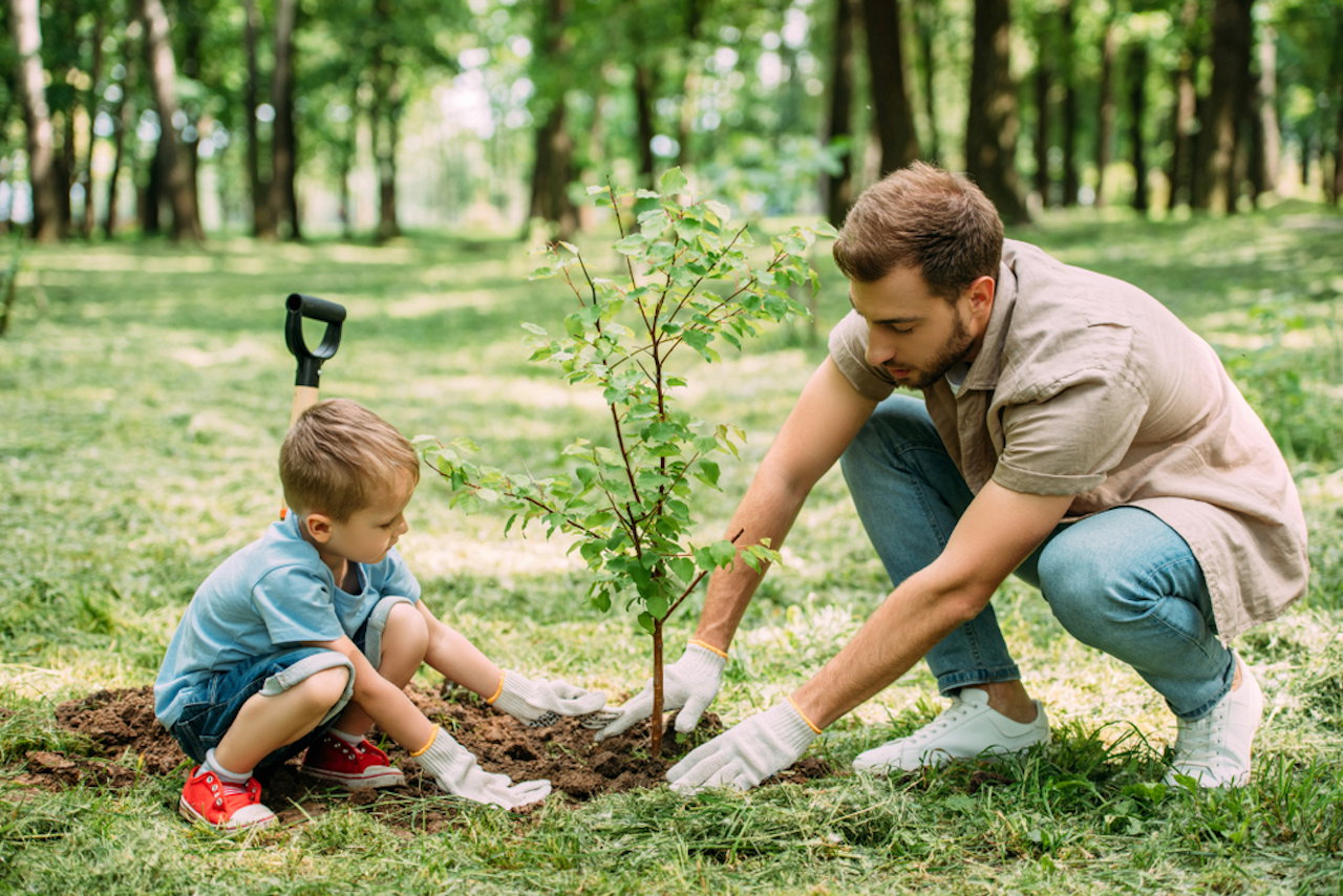 Huércal-Overa plants trees for children « Euro Weekly News